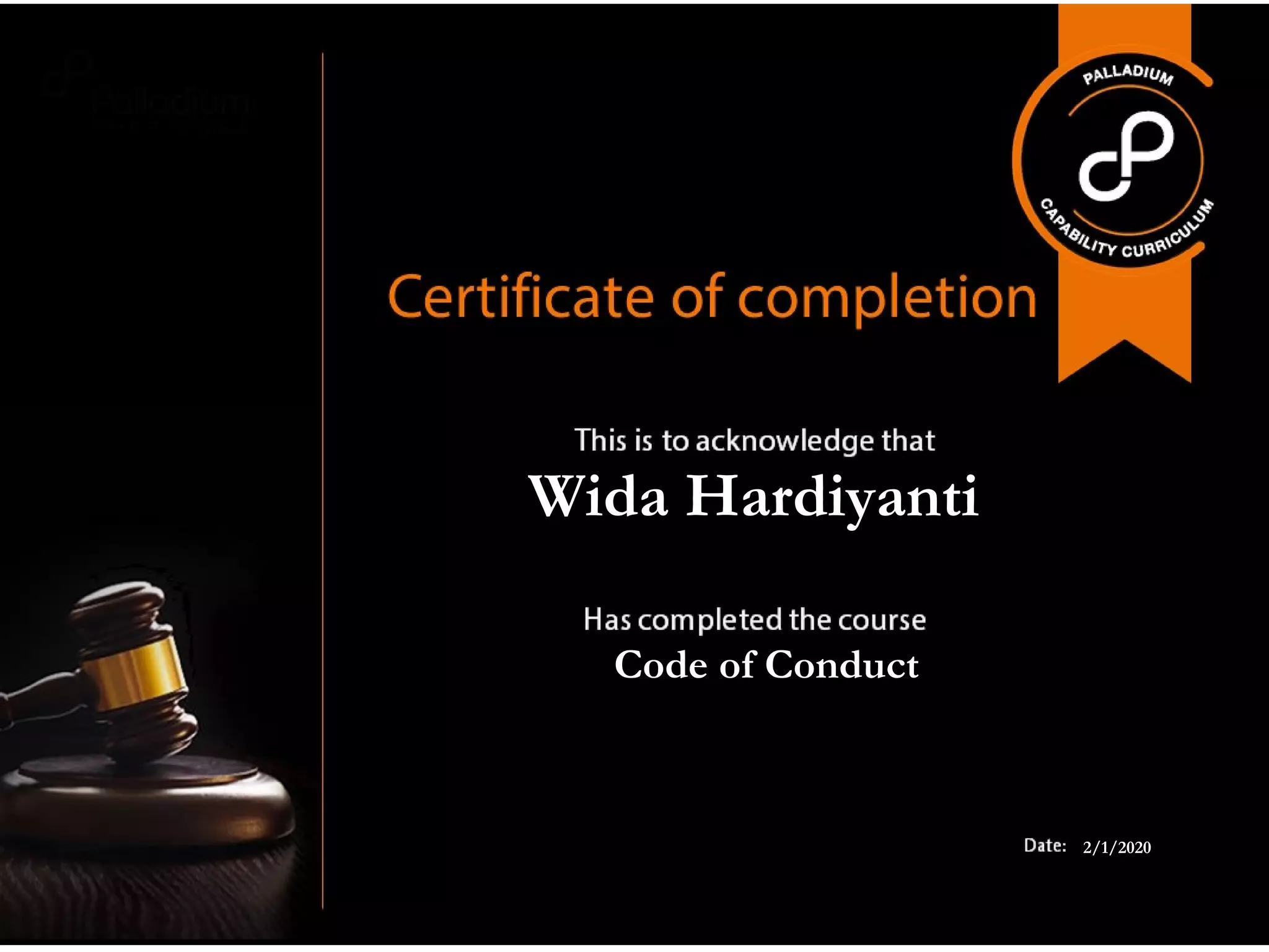 Code of conduct | PDF
