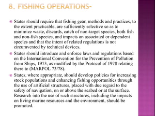 Code of conduct for responsible fishing | PPTX