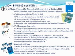 Celebrating 20 years of the Code of Conduct for Responsible Fisheries ...