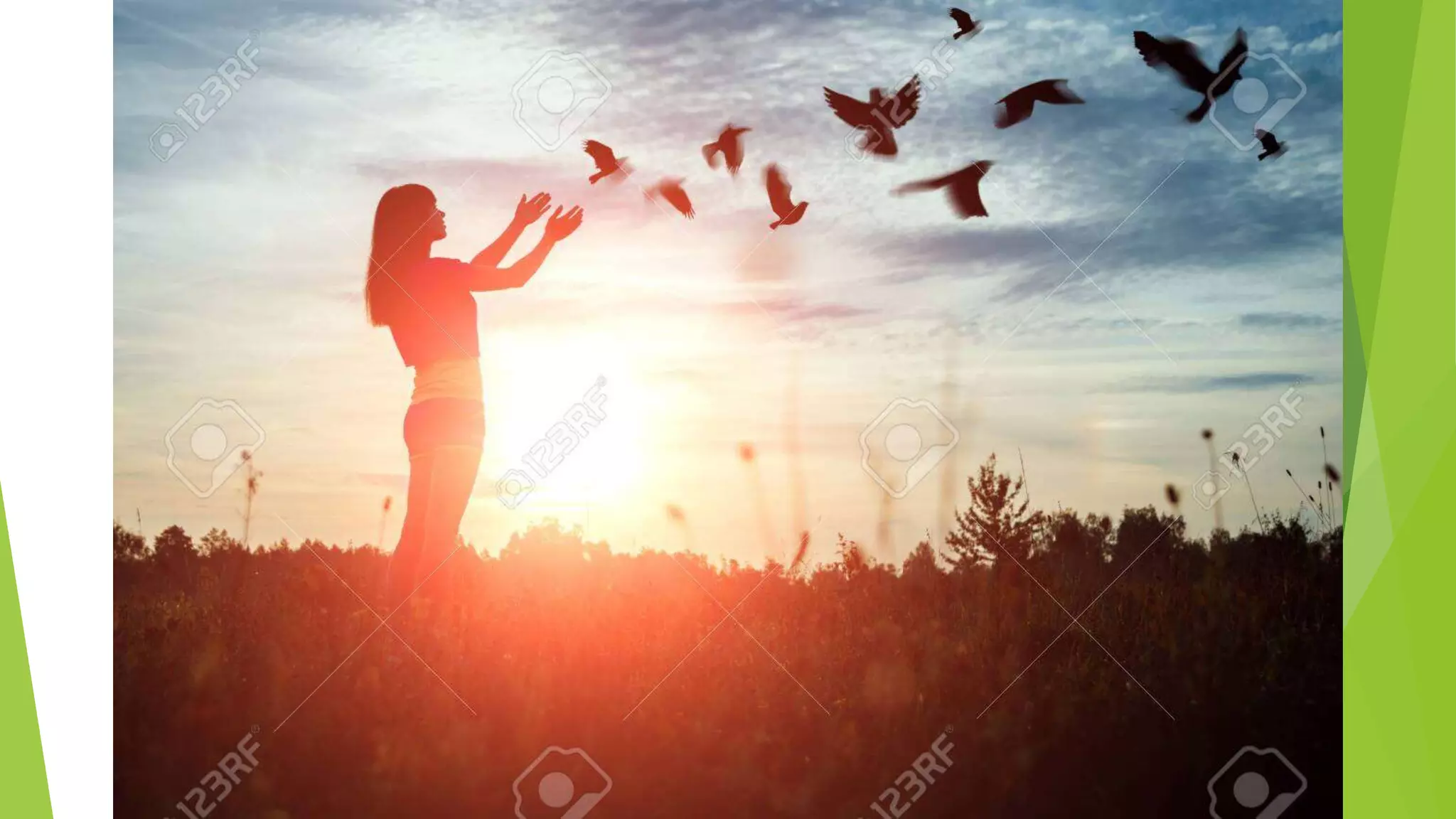 codes and convention of media.pptx