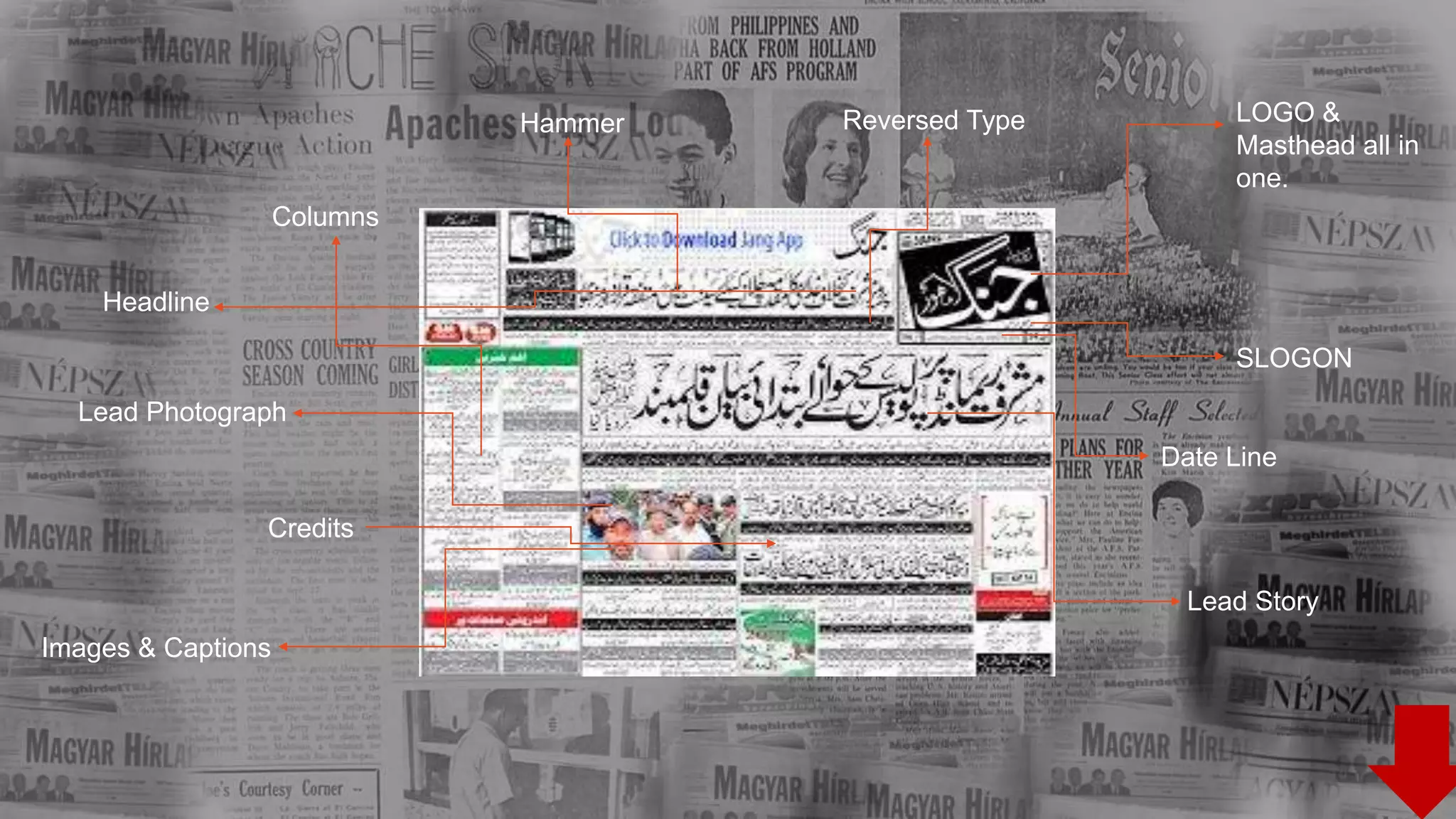 Codes & conventions of a newspaper | PPTX