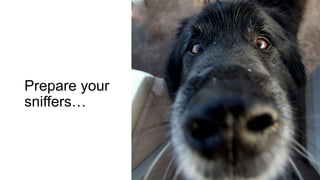 Code smells and Other Malodorous Software Odors | PPT