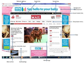 Codes and conventions of websites | PPTX
