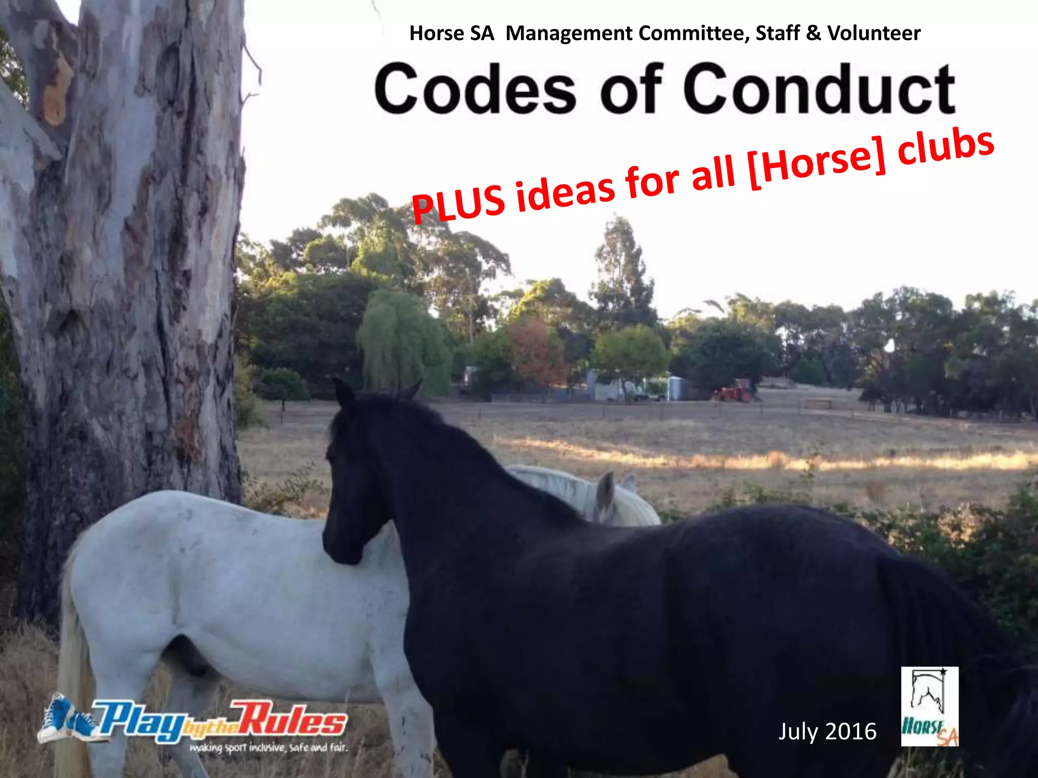 Horse SA codes of conduct + ideas for all horse clubs | PPTX
