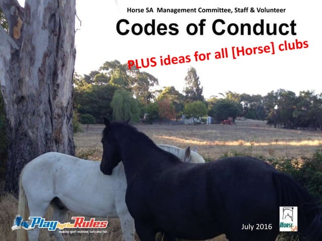 Horse SA codes of conduct + ideas for all horse clubs | PPT