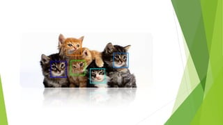 Object Detection, by Tudor Virgil, Machine Learning Developer @ Ui Path | PDF