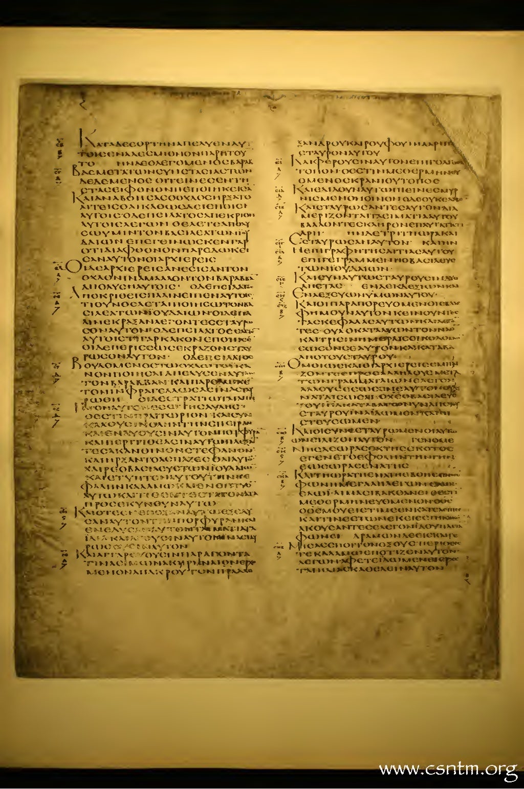 The Textual Mechanic Family Codex Alexandrinus And A