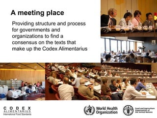 Codex Overview UNECE Codex Power Point Presentation | PPT