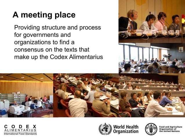 Codex Overview UNECE Codex Power Point Presentation | PPT