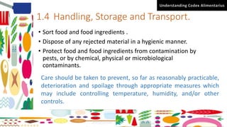 Codex presentation | PPT