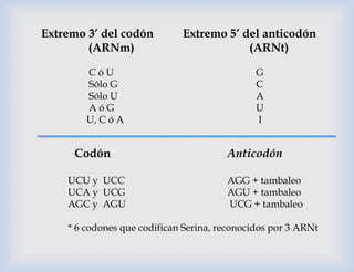 Codigo genetico hip. balanceo | PPTX