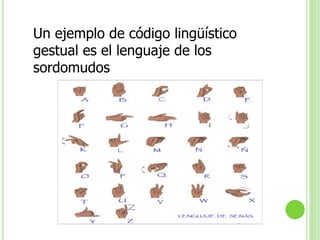 Codigos | PPT