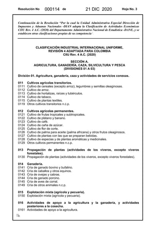 CODIGOS ACTIVIDADES DIAN.pdf