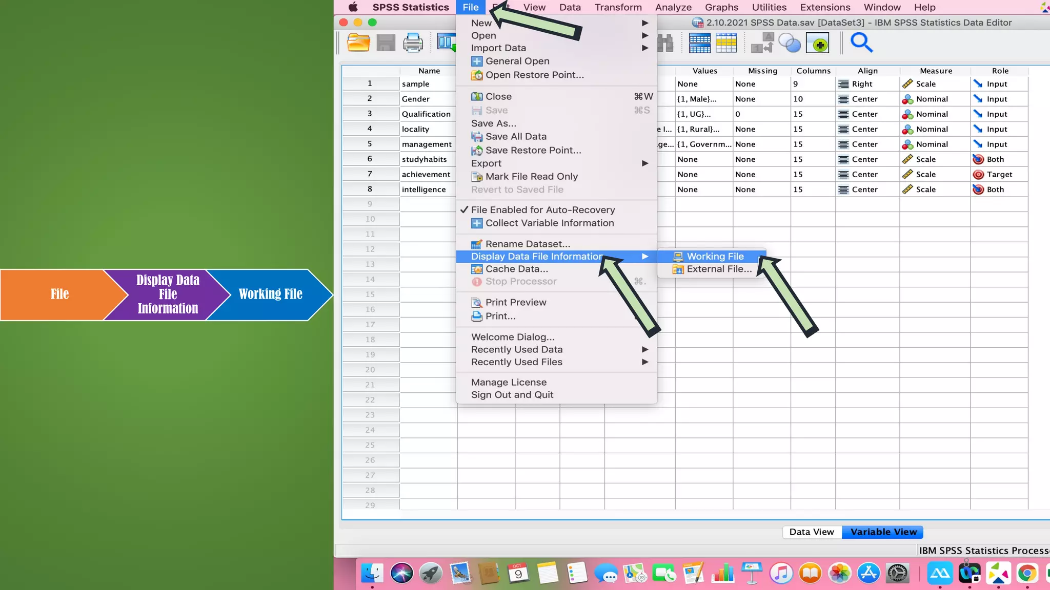 Creating a Coding Book in IBM SPSS Statistics | PDF