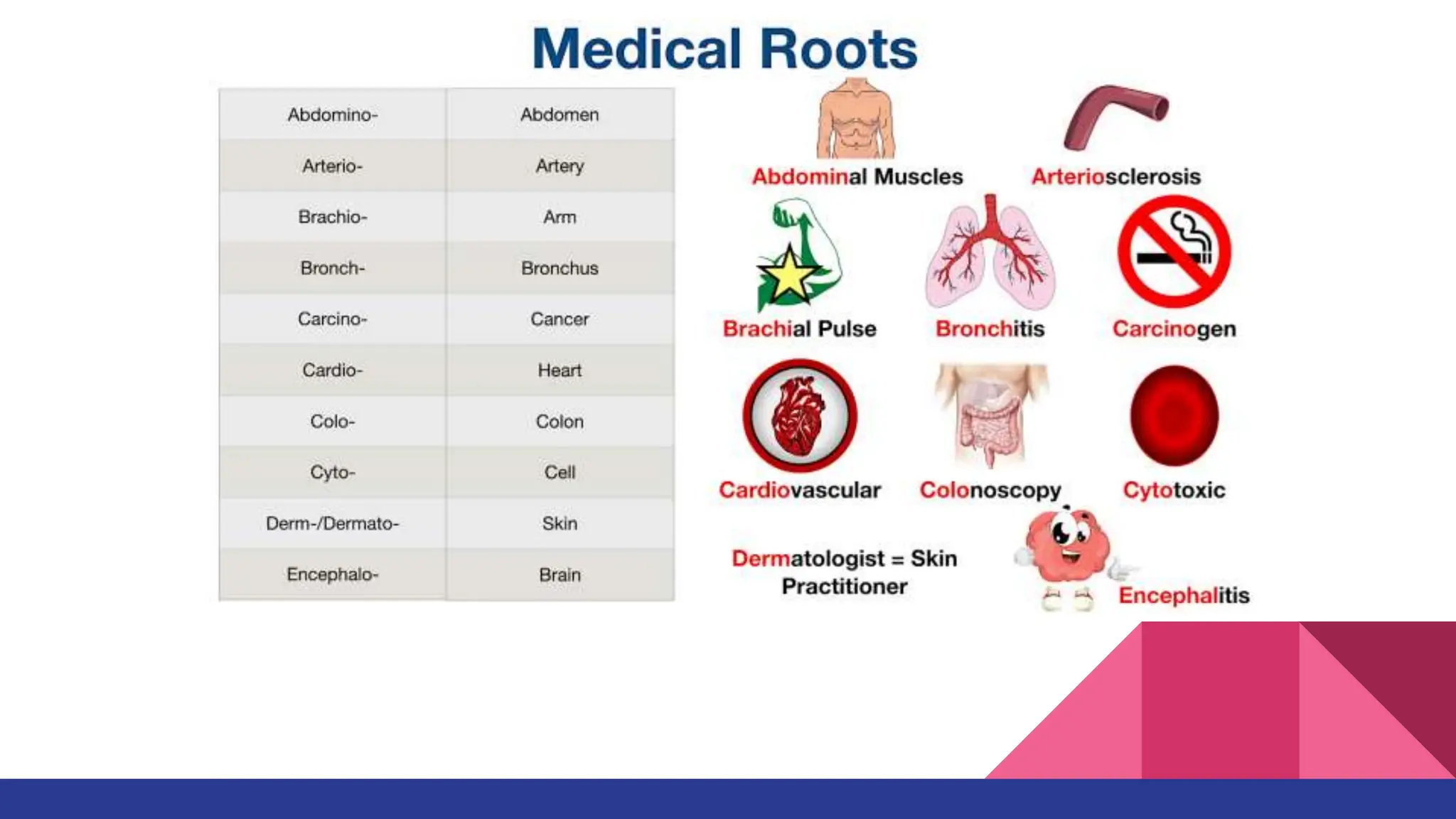 Coding Course Power Point PDF (ICD - 10 Home Health Codding). | PPTX