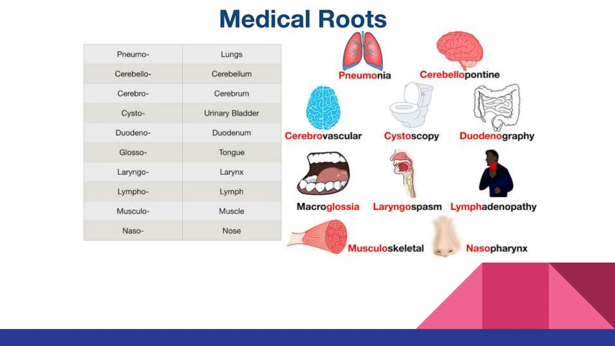 Coding Course Power Point PDF (ICD - 10 Home Health Codding). | PPTX