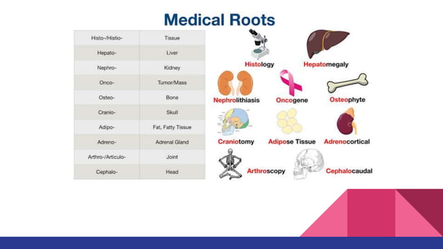 Coding Course Power Point PDF (ICD - 10 Home Health Codding). | PPTX