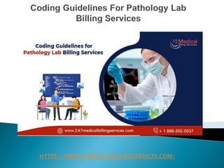 Coding Guidelines For Pathology Lab Billing Services.pdf