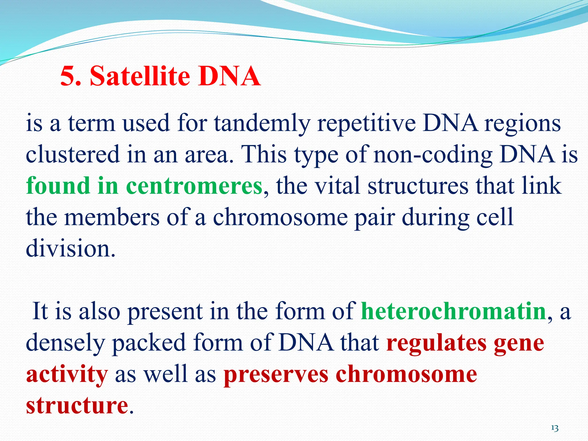 Coding Andnon Coding Dna Molecular Biology Pdf