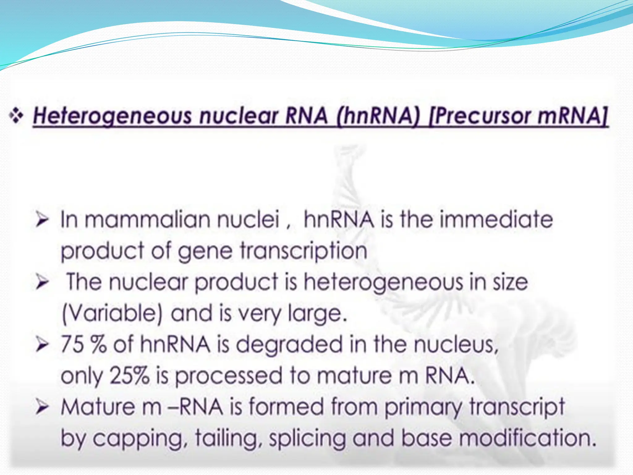 Coding Andnon Coding Dna Molecular Biologypdf 6996