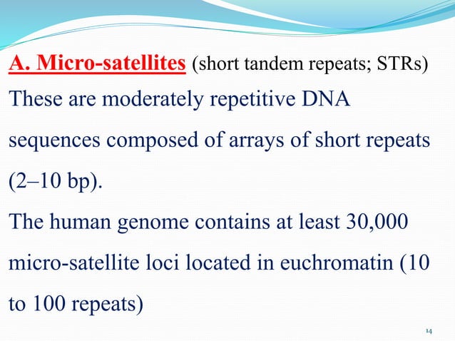 Coding Andnon Coding Dna Molecular Biology Pdf