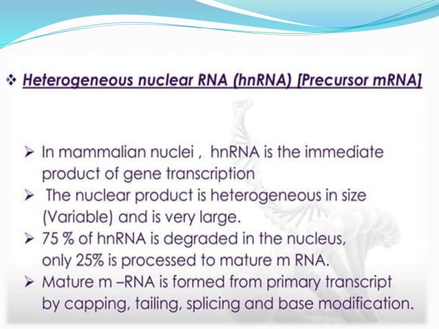 Coding Andnon Coding Dna Molecular Biology Pdf