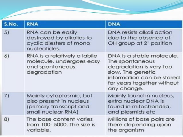 Coding Andnon Coding Dna Molecular Biology Pdf