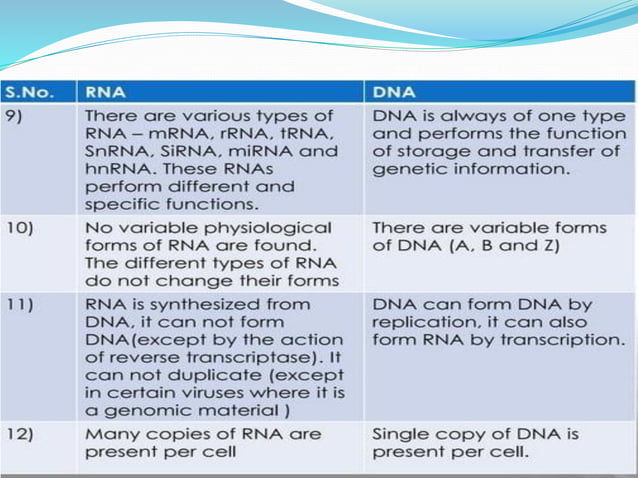 Coding Andnon Coding Dna Molecular Biology Pdf