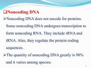 coding &non coding DNA molecular biology.pdf | Genetics | Science