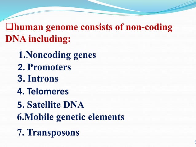 Coding Andnon Coding Dna Molecular Biology Pdf