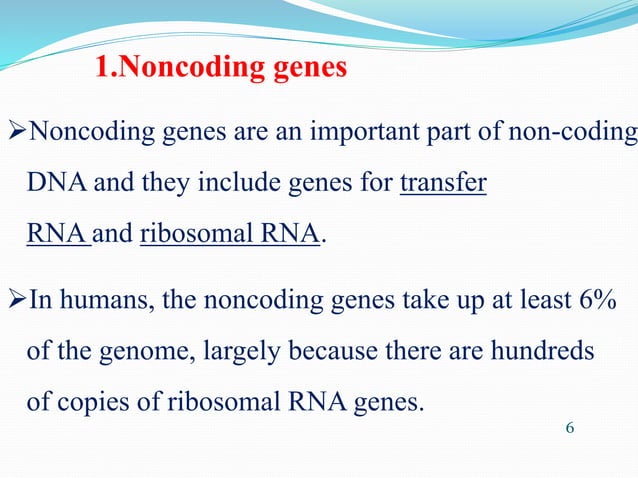 Coding Andnon Coding Dna Molecular Biology Pdf