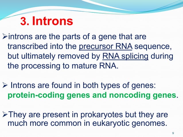 coding &non coding DNA molecular biology.pdf | Genetics | Science