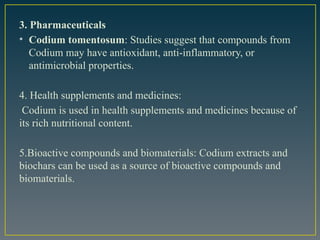 codium.pptxtygg7c6 uhh unn hhffvhhhjjgyh | PPTX