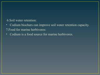 codium.pptxtygg7c6 uhh unn hhffvhhhjjgyh | PPTX