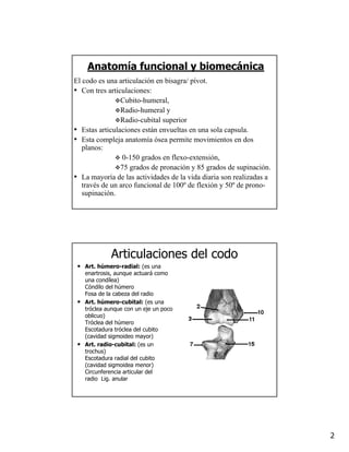 Codo | PDF