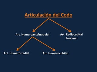 Codo | PPTX