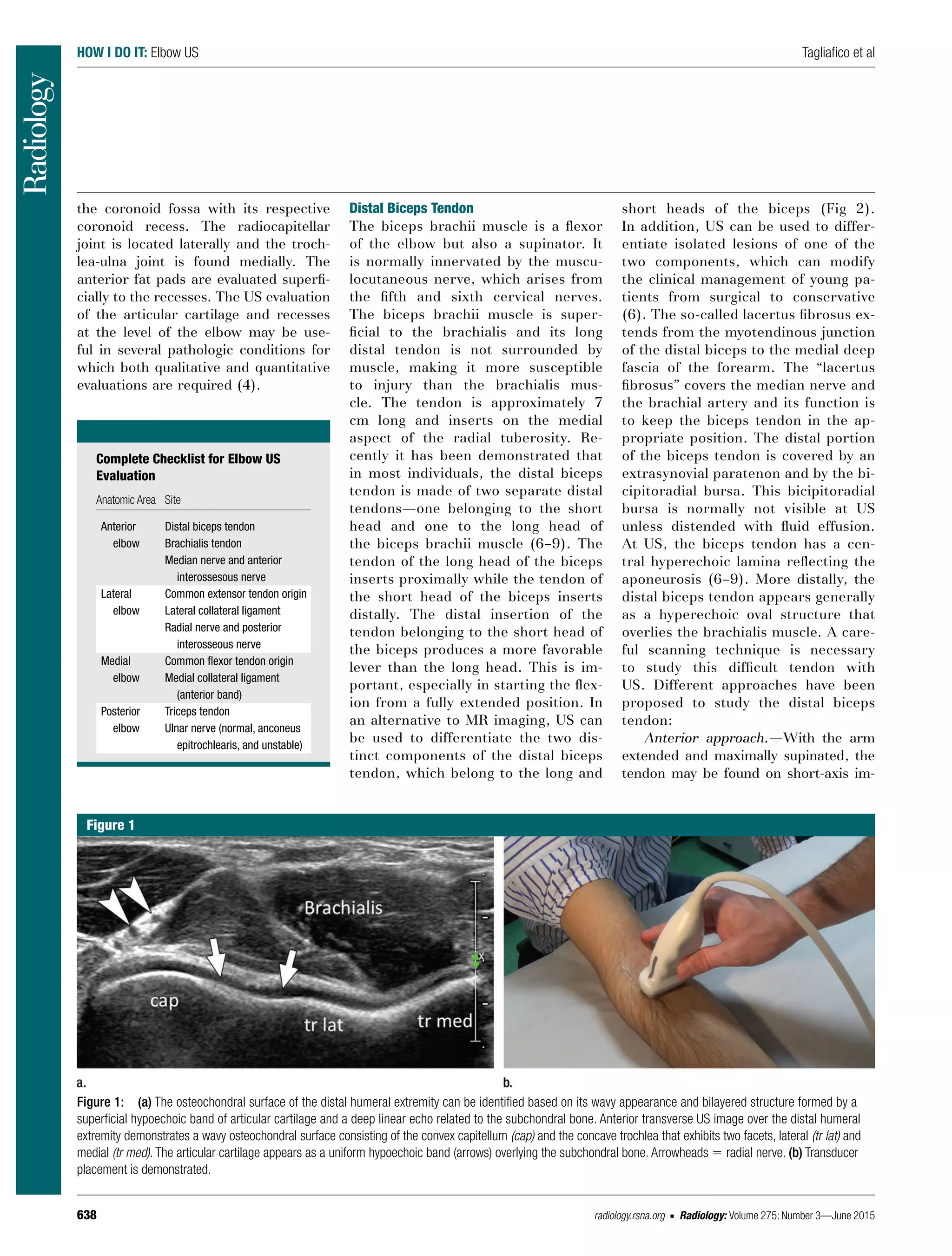Codo 1. elbow us anatomy, variants, and scanning technique | PDF