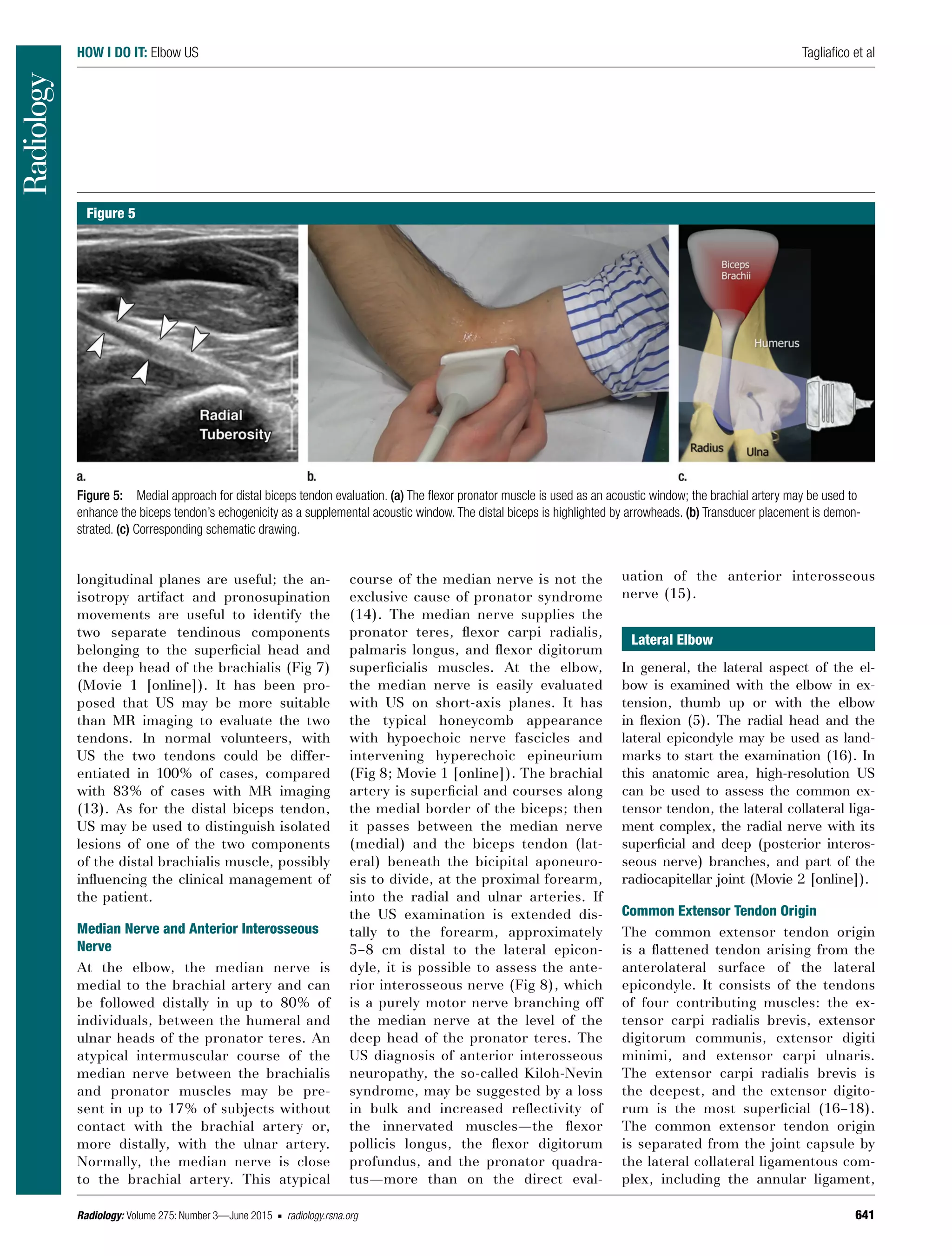 Codo 1. elbow us anatomy, variants, and scanning technique | PDF