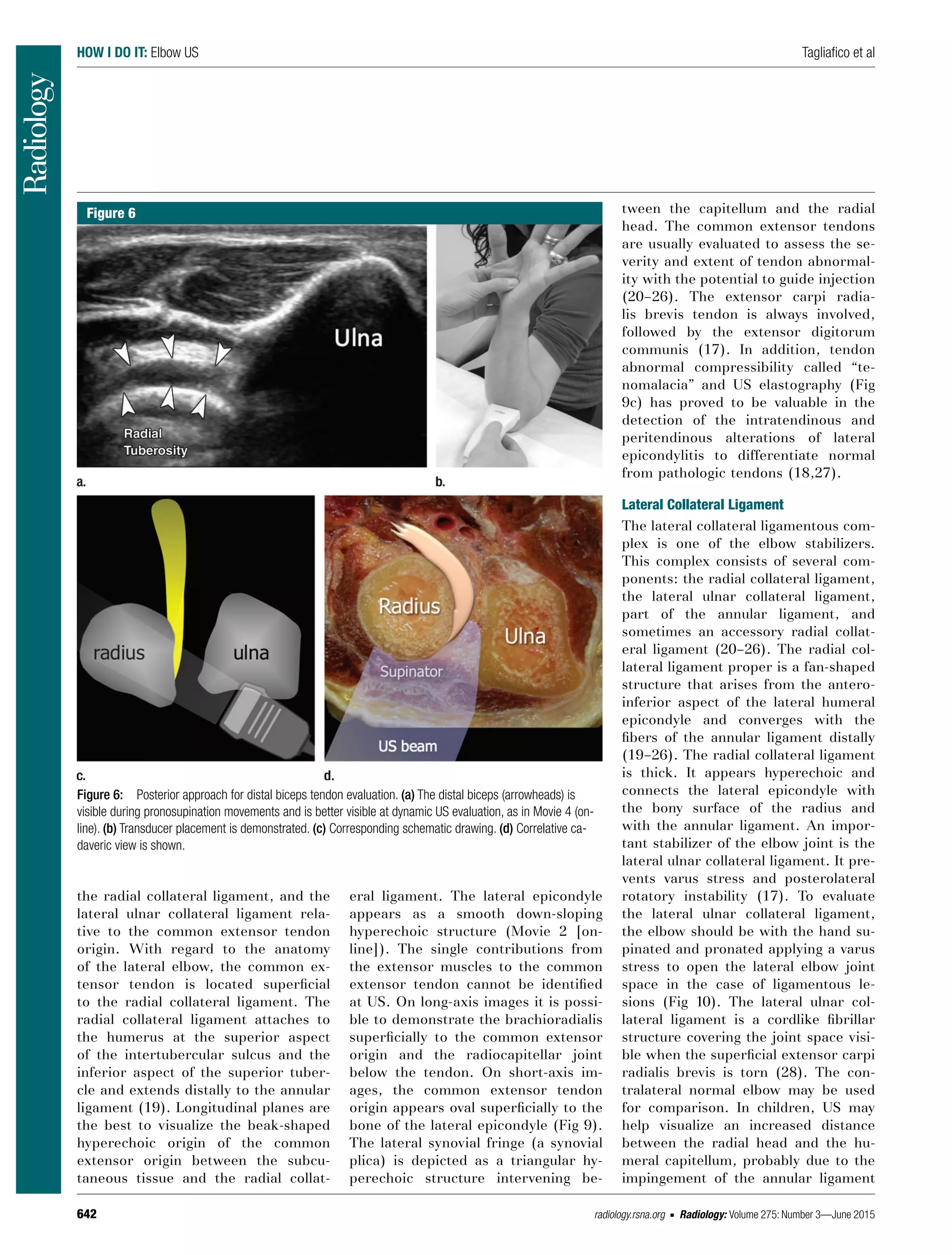 Codo 1. elbow us anatomy, variants, and scanning technique | PDF