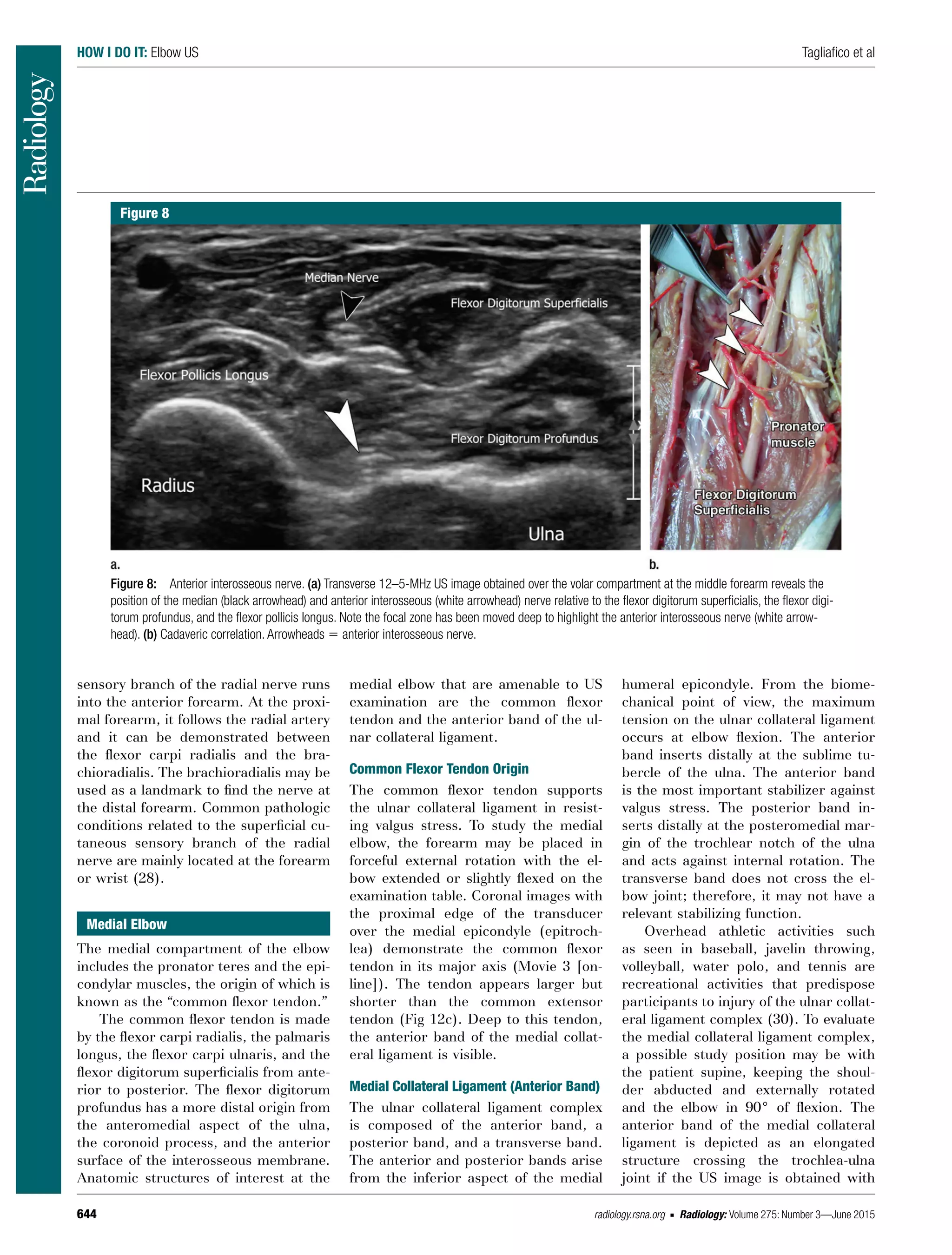 Codo 1. elbow us anatomy, variants, and scanning technique | PDF