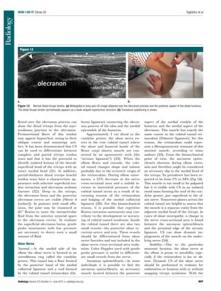 Codo 1. elbow us anatomy, variants, and scanning technique | PDF ...