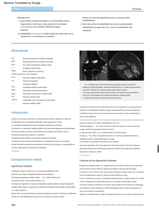 TRAUMATOLOGIA E IMAGENOLOGIA RM codo (1).pdf