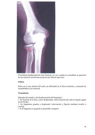 Codo anatomia | PDF