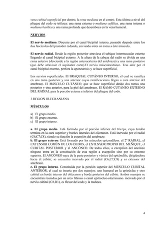 Codo anatomia | PDF