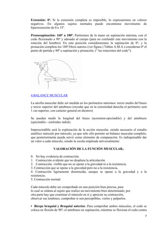 Codo anatomia | PDF