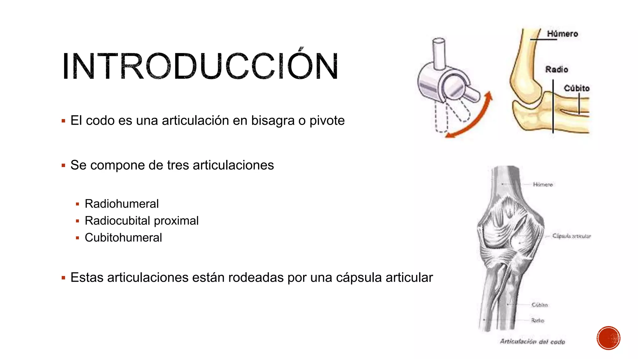 Codo final | PPT