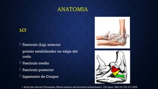 caracteristicas generales de semiologia de codo | PPTX
