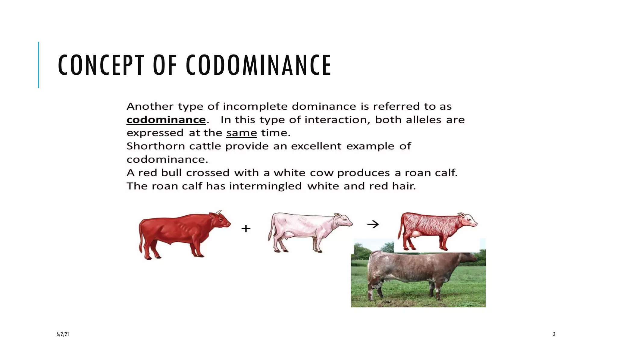 Plant Cytogenetics:Codominace ppt | PDF