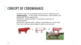Plant Cytogenetics:Codominace ppt | PDF