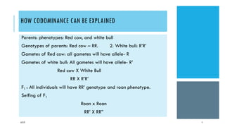Plant Cytogenetics:Codominace ppt | PDF